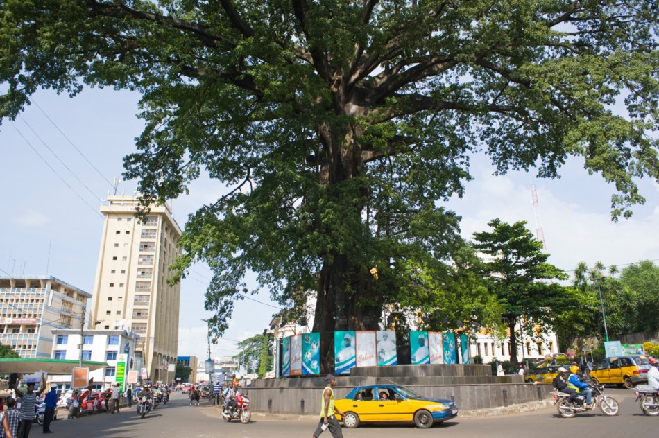 Cotton Tree2 – SIERRA LEONE TELEGRAPH